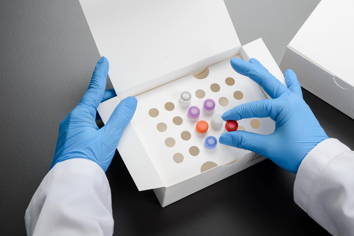 Molecular Diagnostic Assays