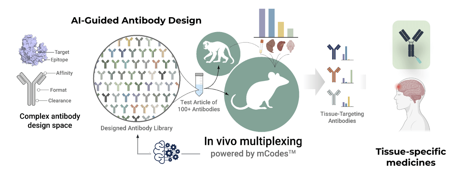 Manifold Bio • High Throughput In Vivo Drug Design