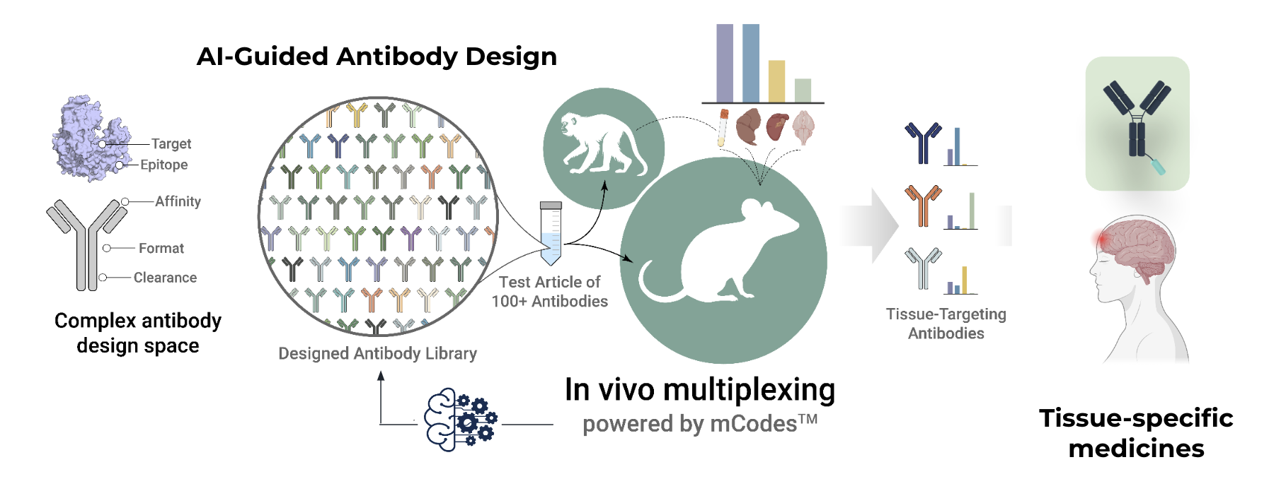 Manifold Bio • High Throughput In Vivo Drug Design