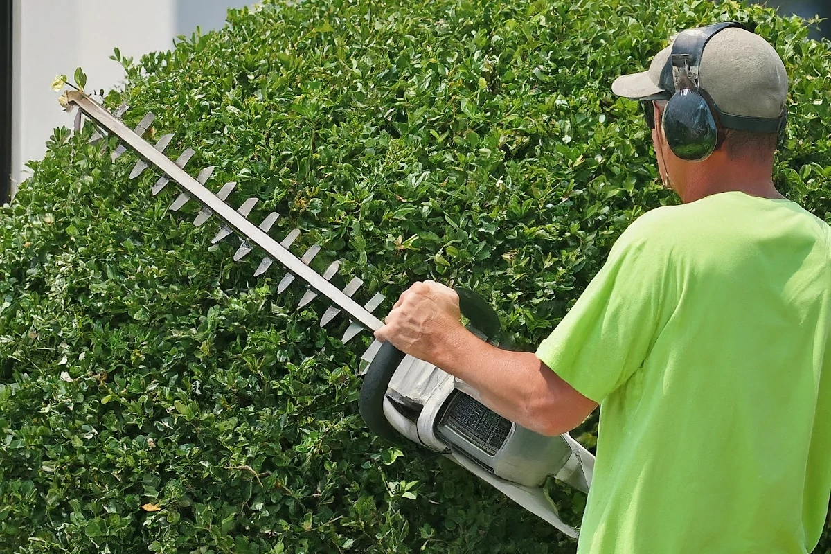 Crosscut - Professional Landscape Maintenance Services