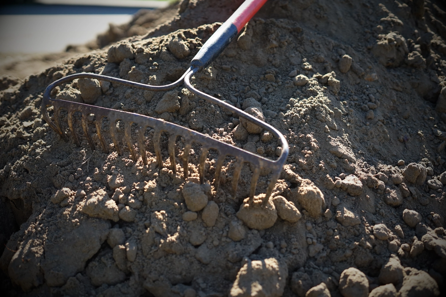 Crosscut - Professional Grading