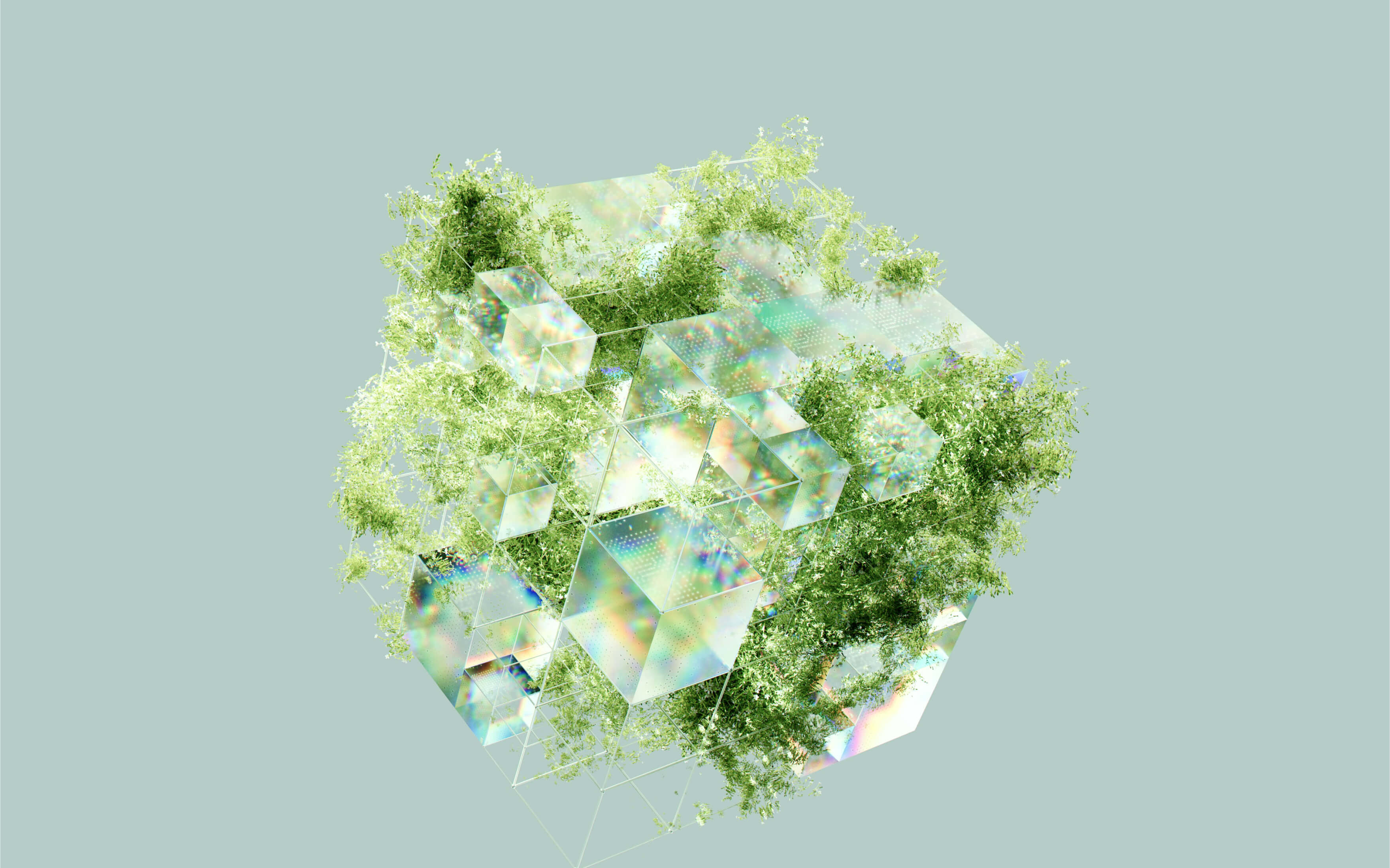 Star Affinity Ventures Ltd. | Pioneering a Net Zero Future