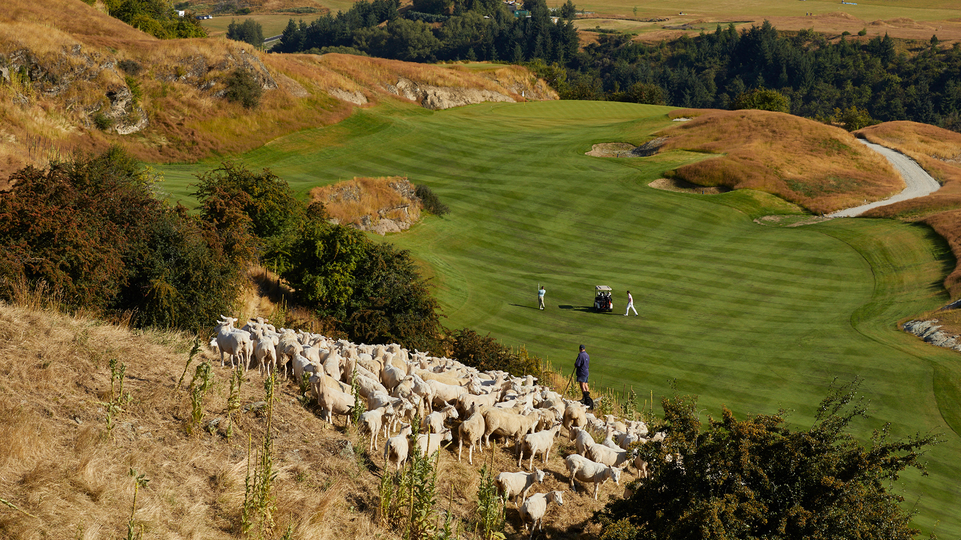 About Experience Golf | Luxury Golf Vacation Experts