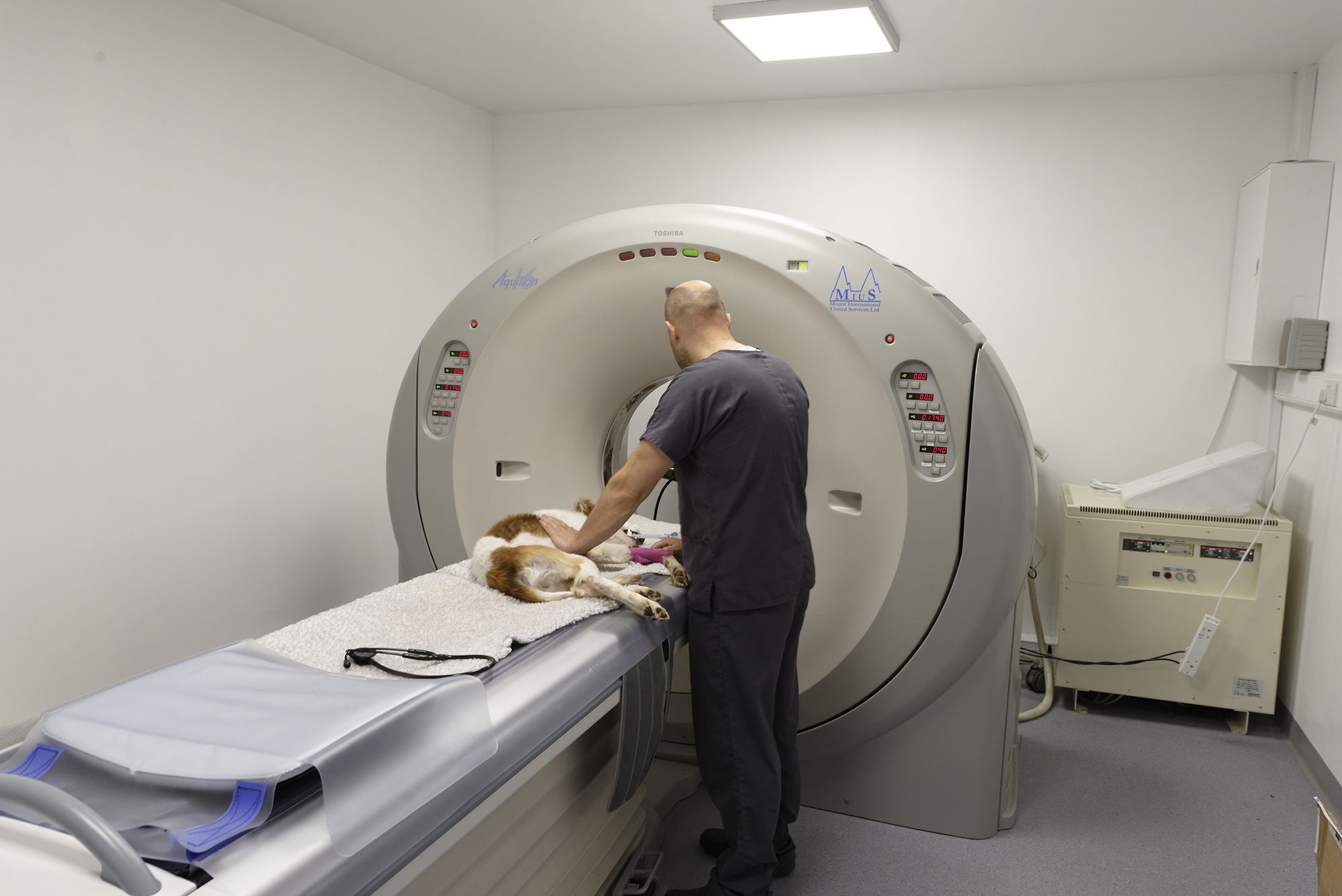 Diagnostics Services - Blackpool Veterinary Hospital