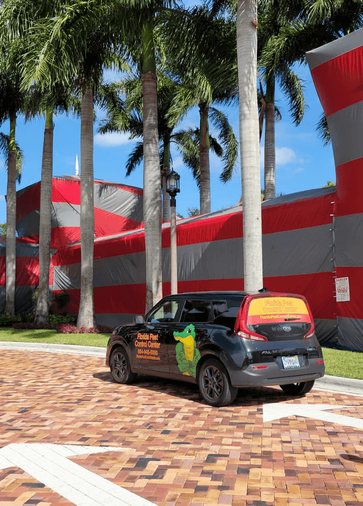 Ft Lauderdale Pest Control | Florida Pest Control Center