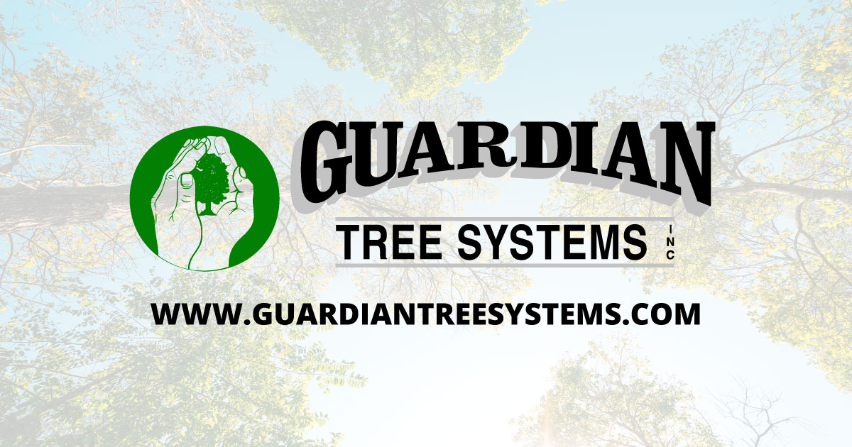 Guardian Tree Systems | Sarnia Tree Service