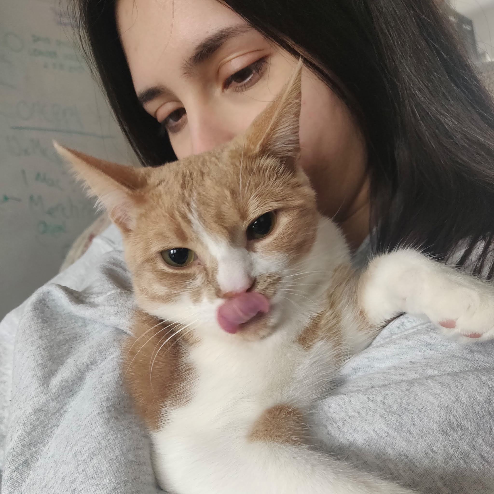 About Us - Scribenote