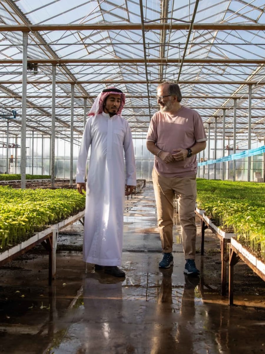 DMP | Partnerships Worth Making.