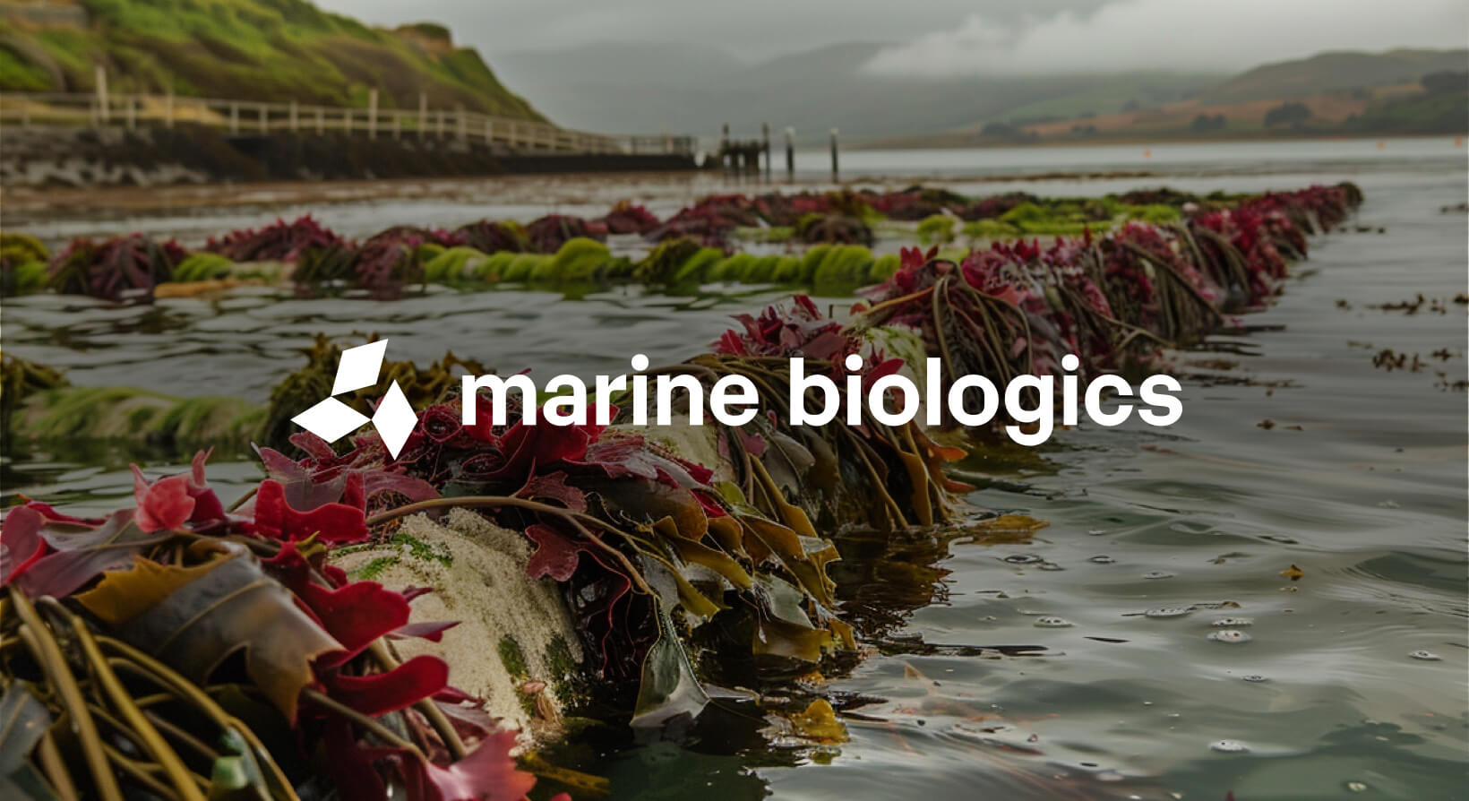 Marine Biologics — Building new chemical supply chains for the bioeconomy