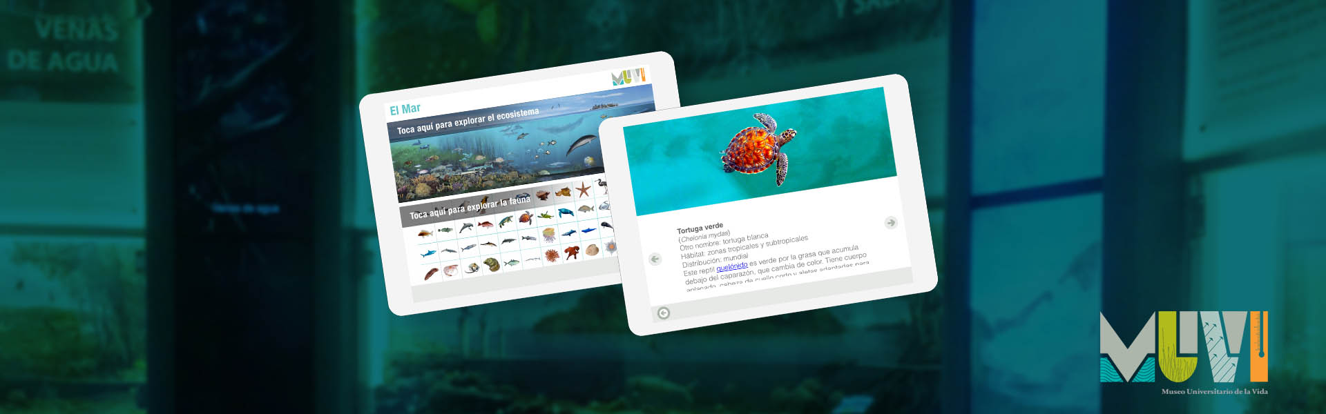 Manuvo | University Museum of Life