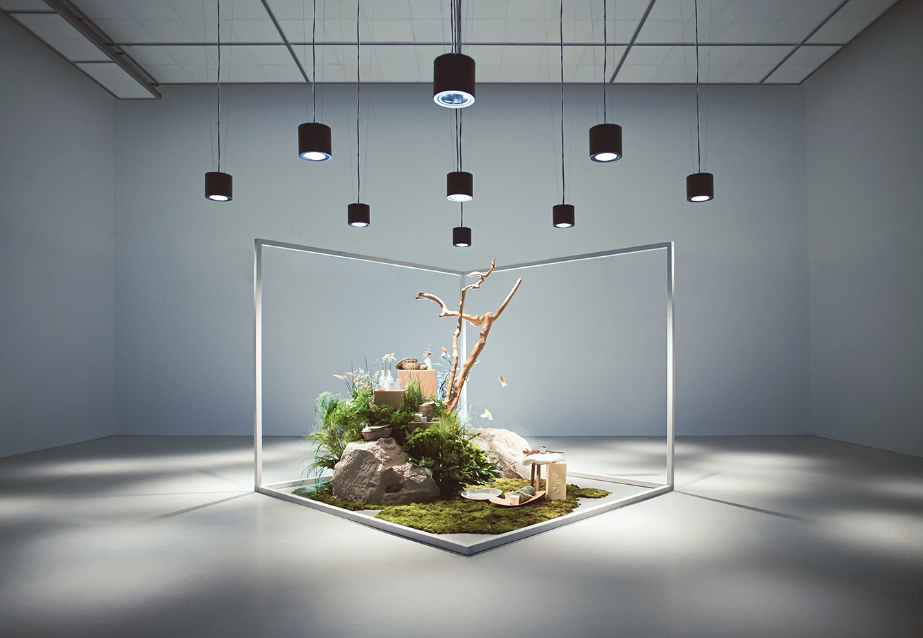 Glorea - Brilliance Everywhere