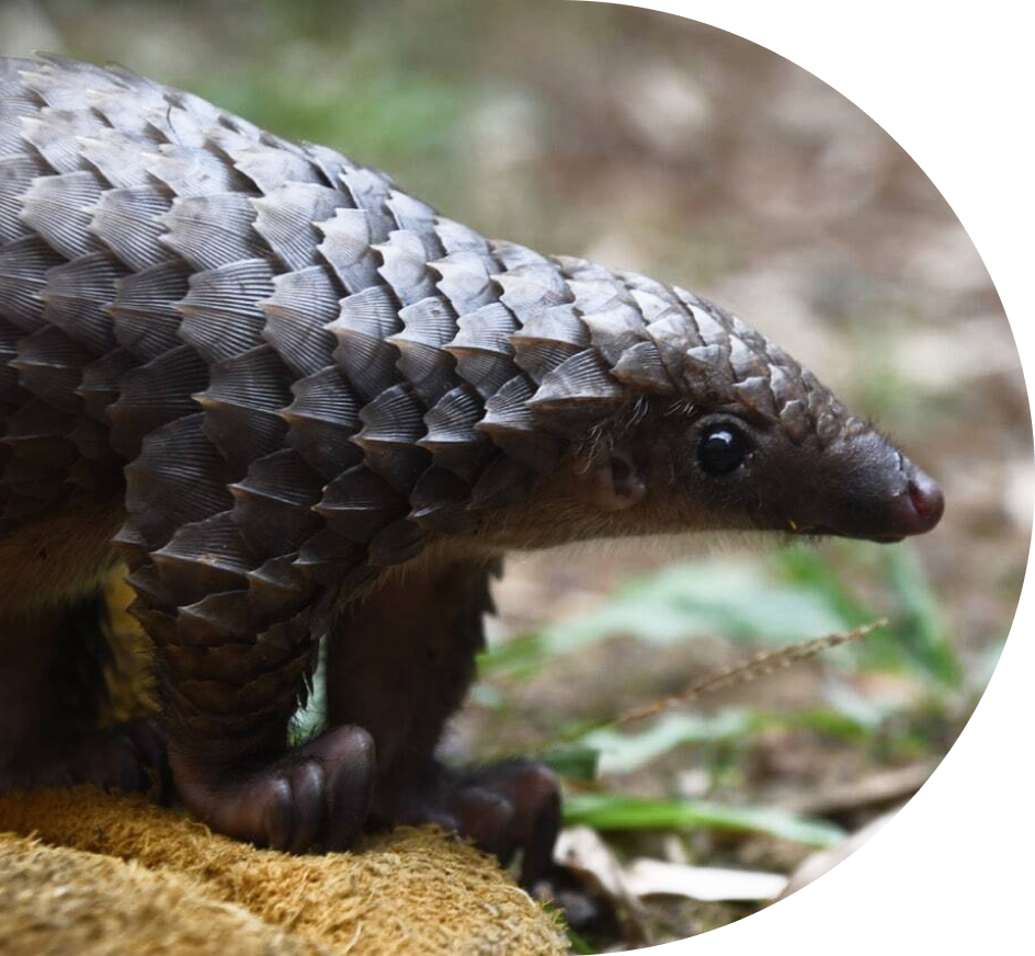 Digemy - Transforming Training with Mobile Micro-Learning for Revenue ...