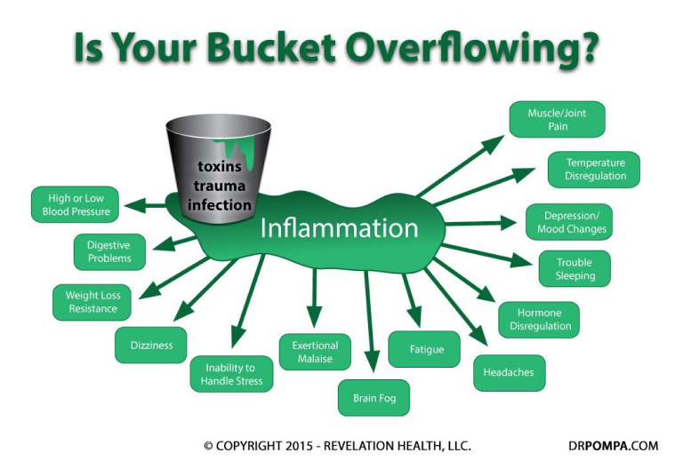 Cellular Inflammation | Pompa Program