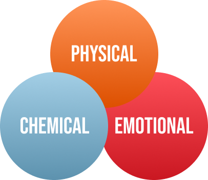 Cellular Inflammation | Pompa Program