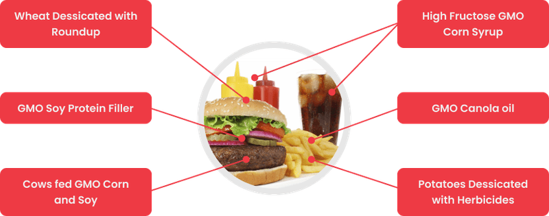 Cellular Inflammation | Pompa Program