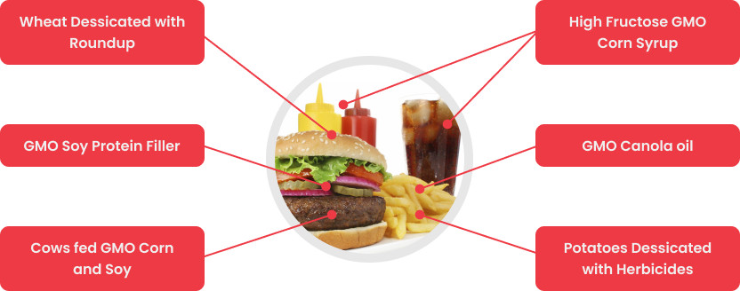 Cellular Inflammation | Pompa Program