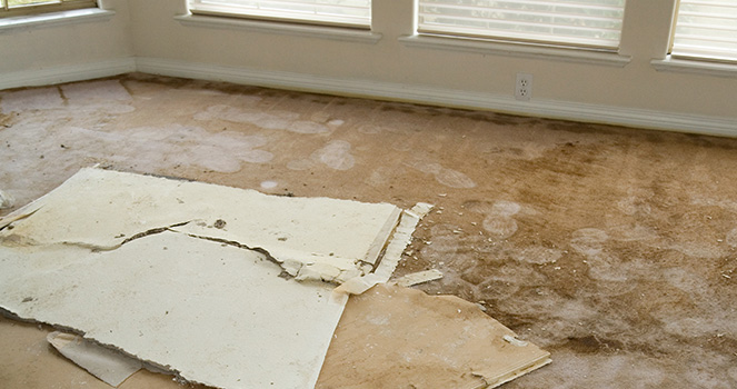 Weber Windows | Window Water Damage