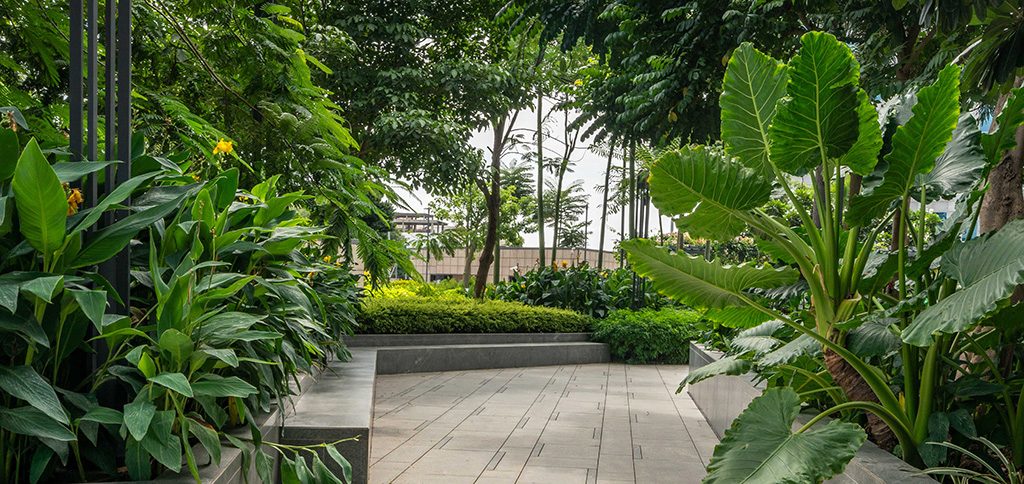 Naveen Associates | Landscape Design Firm | Hyderabad, India