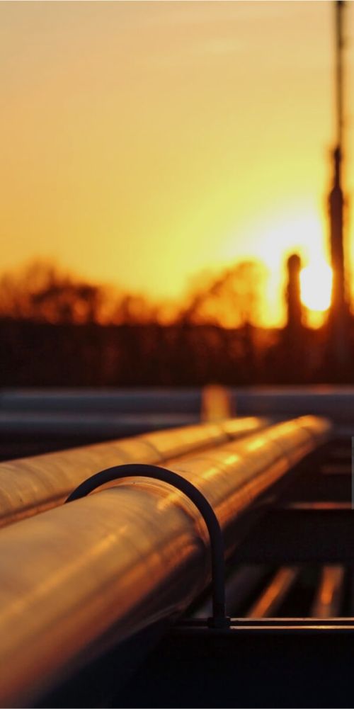 Airhive - Direct Air Capture for Rapid Carbon Removal and Decarbonisation