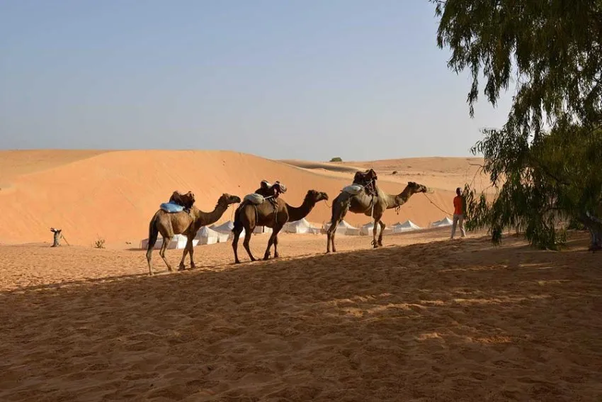 Visites & Excursions au Sénégal | Hôtel Les Manguiers de Guéréo