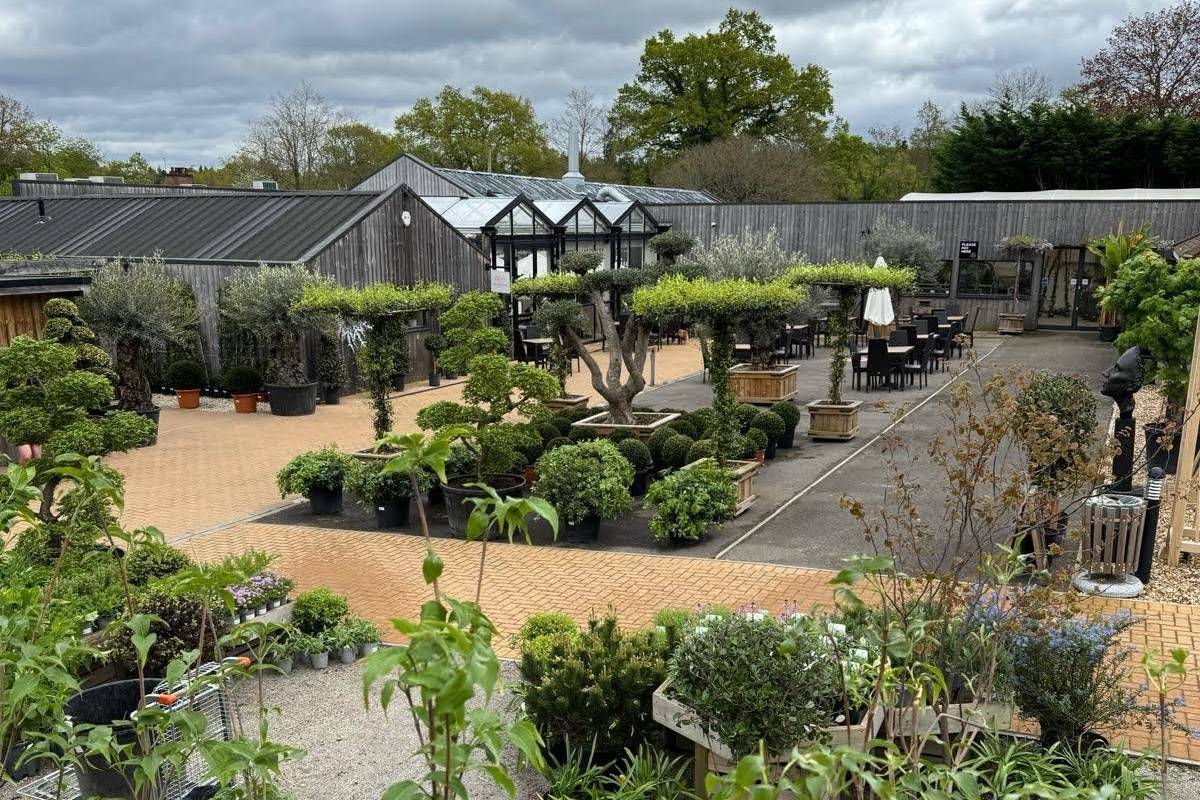 Creepers Plant Centre at Lavershot Barns, Windlesham, Surrey is now open