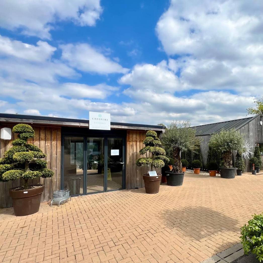 Creepers Plant Centre at Lavershot Barns, Windlesham, Surrey is now open