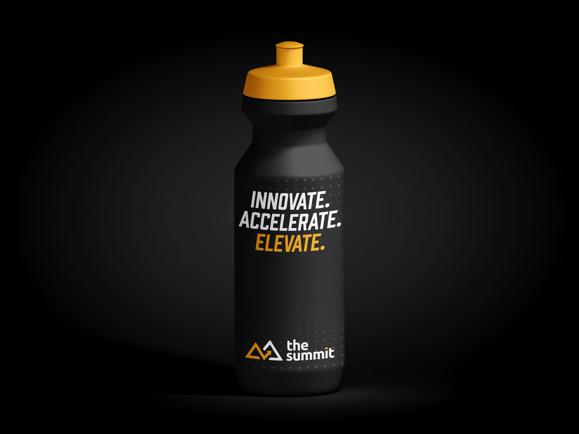 The Summit Case Study · VisionaryGrid