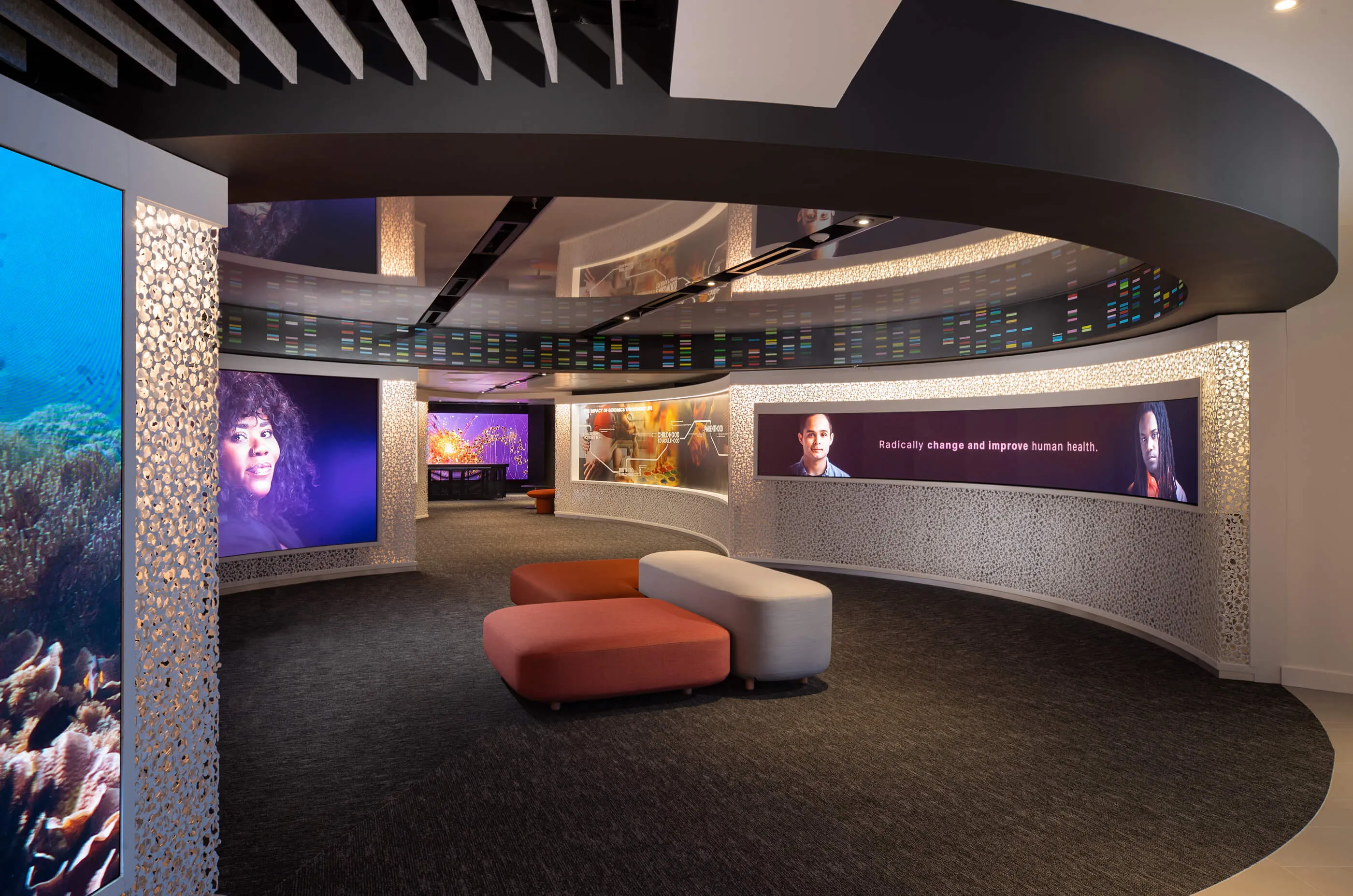 Hyperquake Case Studies: Success Story of Illumina