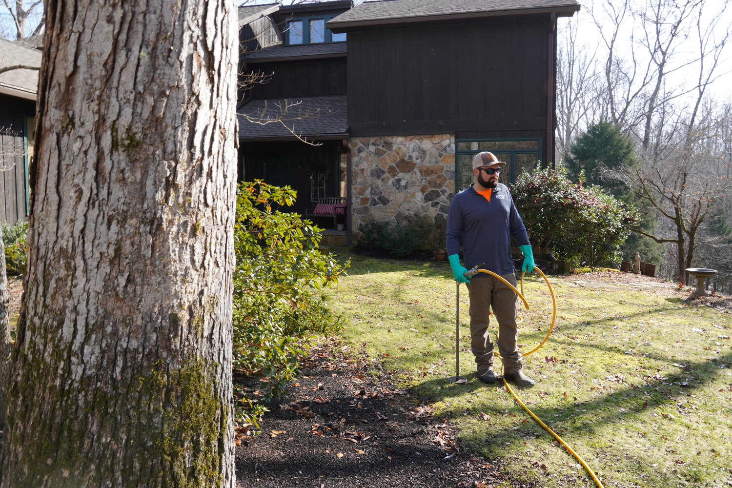 Proactive Tree Care New Urban Forestry