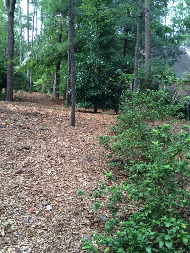 Native Plant Community Design - New Urban Forestry