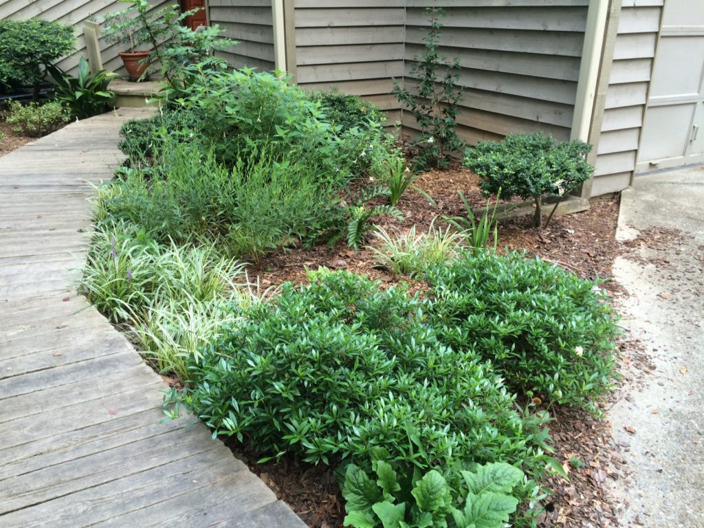 Native Plant Community Design - New Urban Forestry