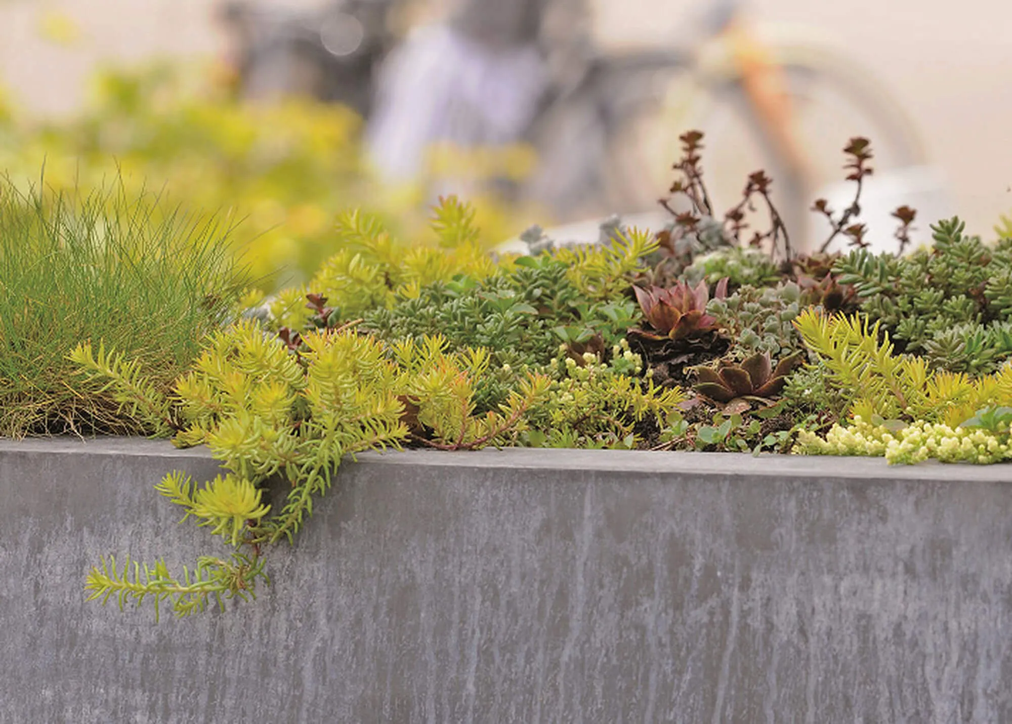 Domani - Design Pottery - Ernst Baas Tuininrichting | Design Tuinmeubelen