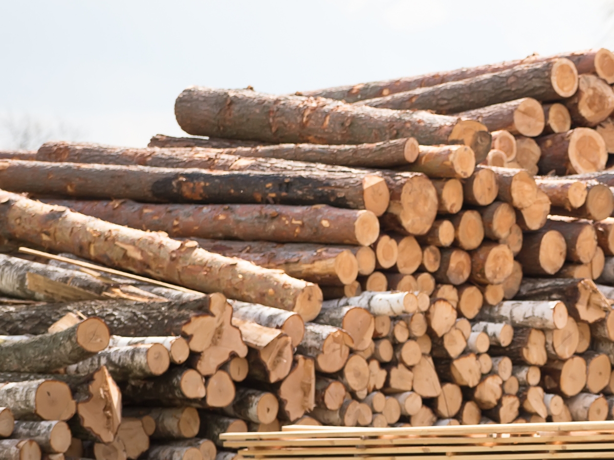 VOC Abatement Solutions for the Wood Products Industry | Kono Kogs