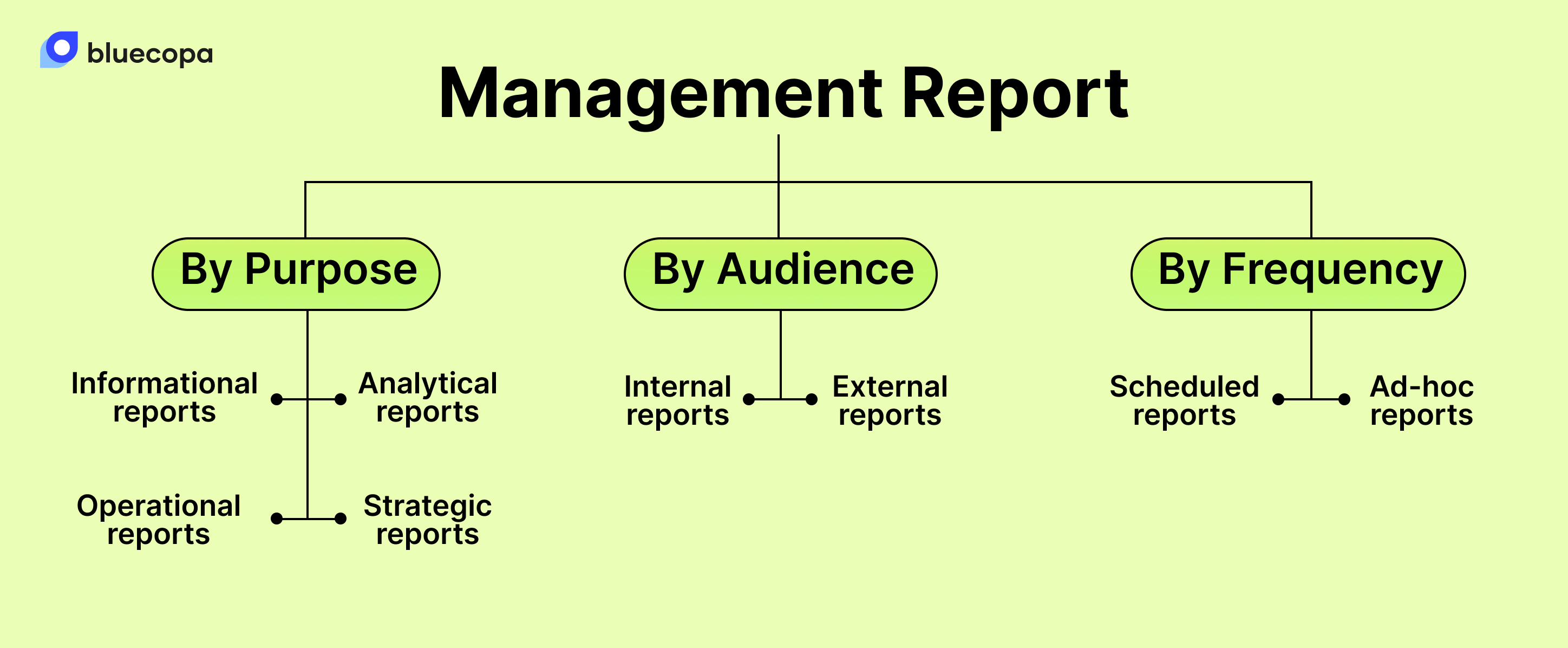 A Detailed Guide On Management Reporting With Types Best Practices And Importance