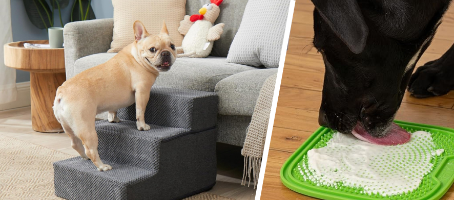 Best Products For Spoiled Dogs