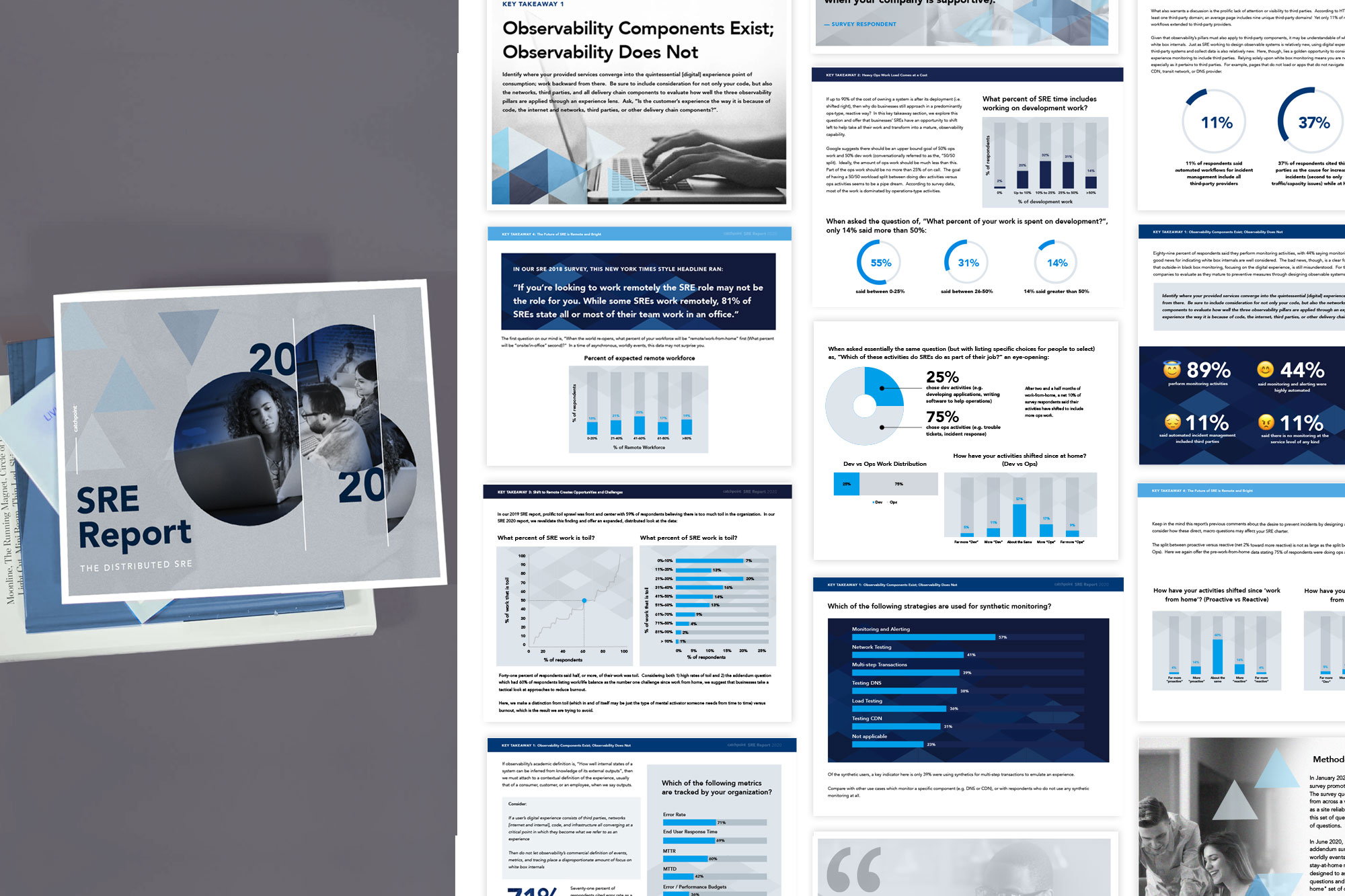 Taylor Meluch Portfolio: 2019/2020 SRE Reports