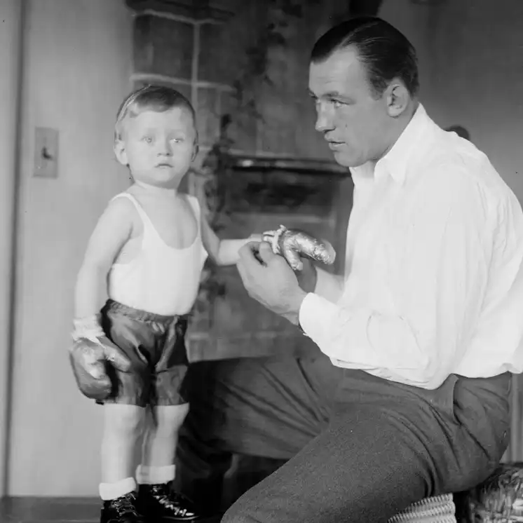 Top Heavyweight Boxing