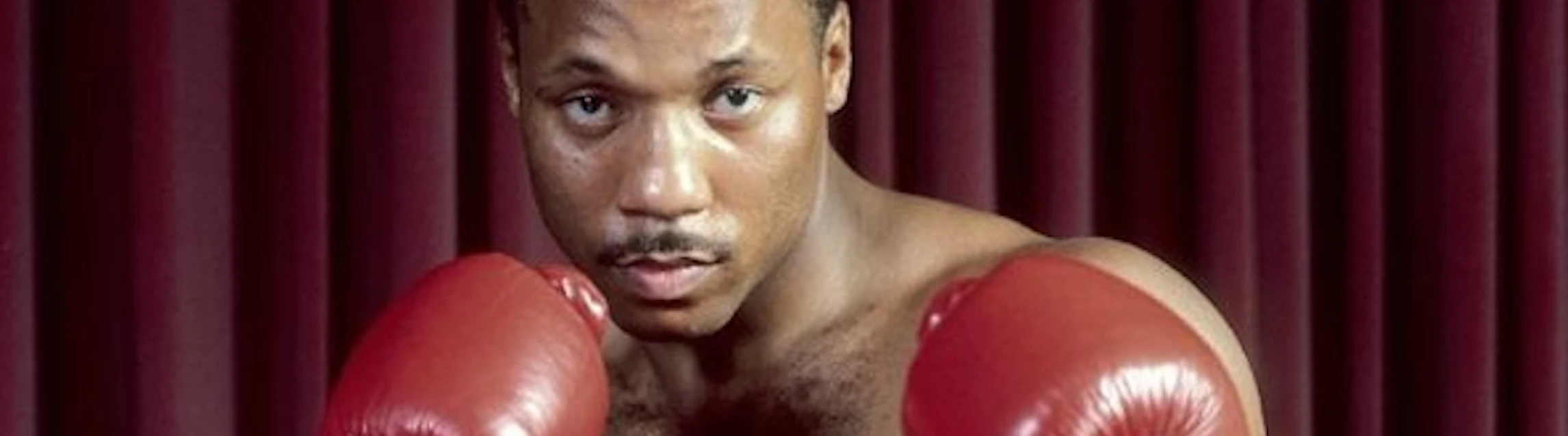 Pinklon Thomas' Heavyweight Boxing Challenges Examined