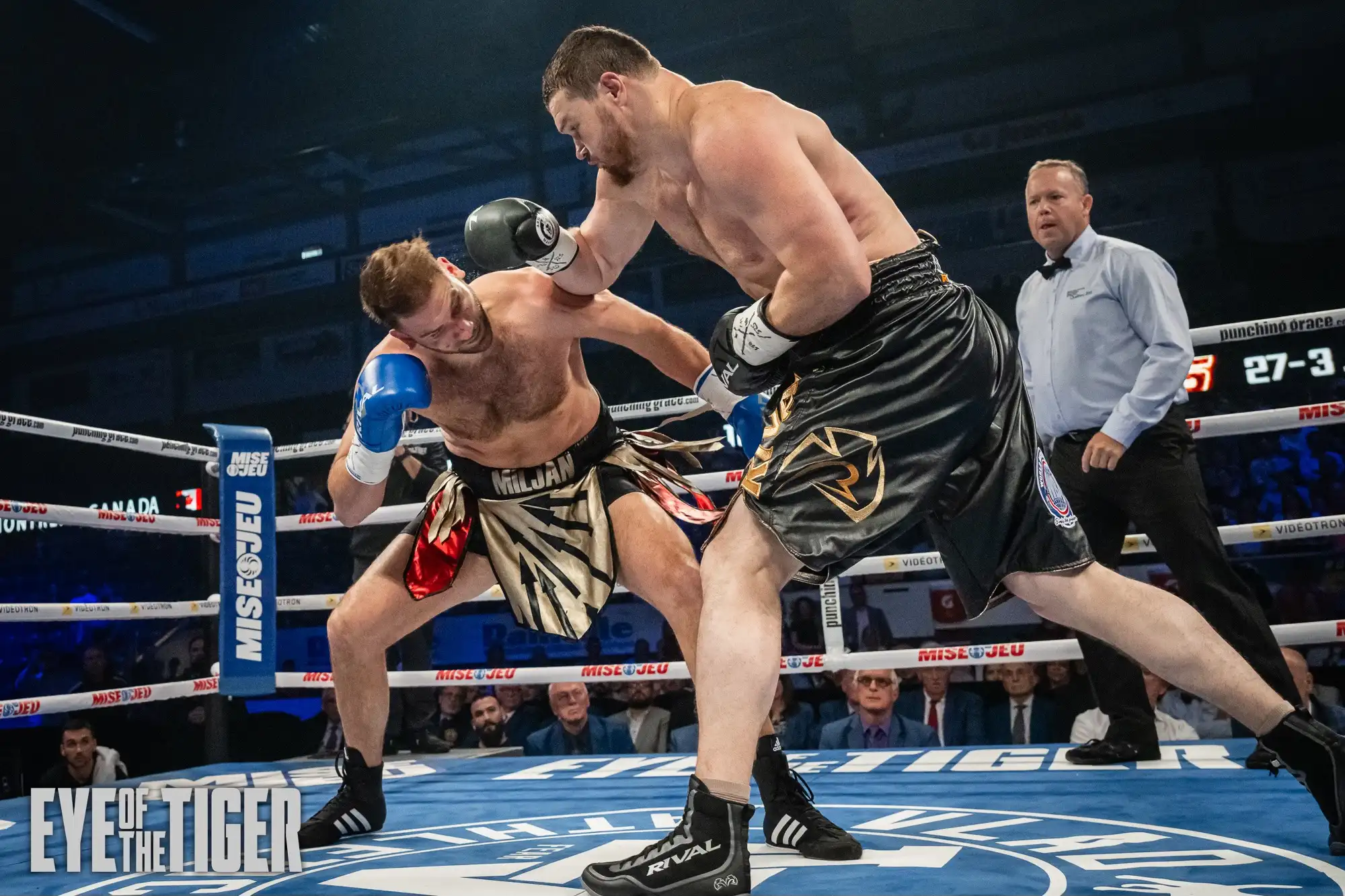 Top Heavyweight Boxing